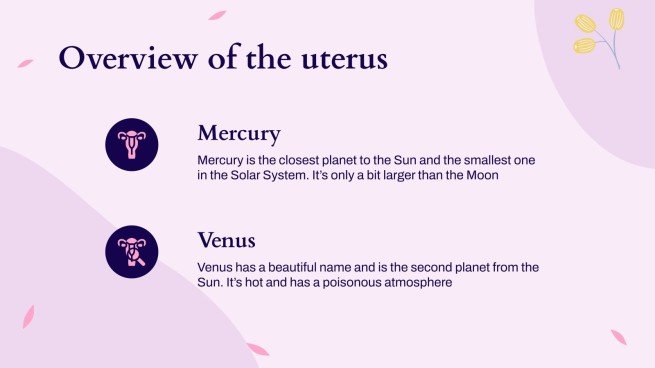 Uterus Medical Anatomy Lesson | Google Slides & PowerPoint