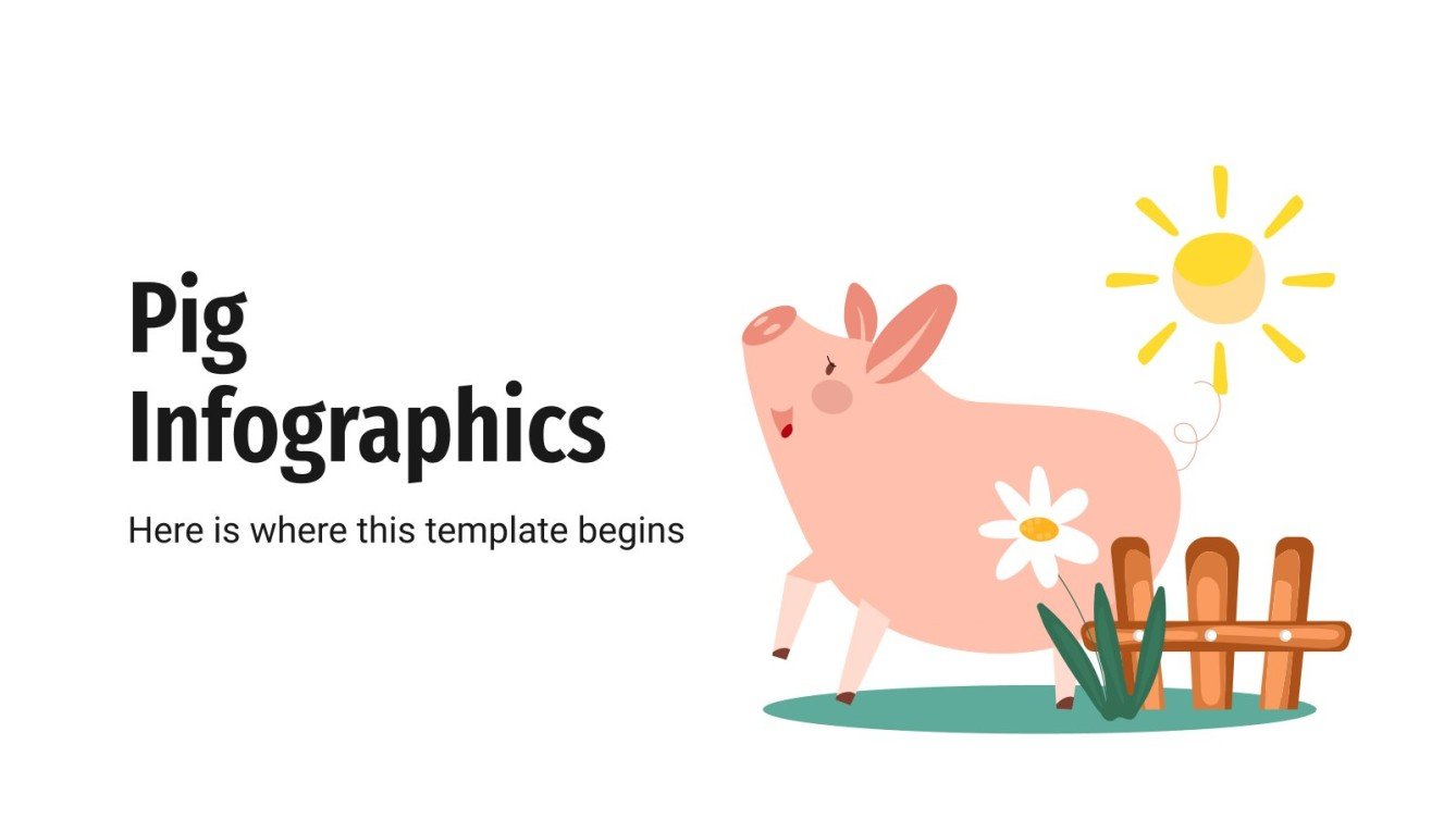Pig Infographics | Google Slides & PowerPoint