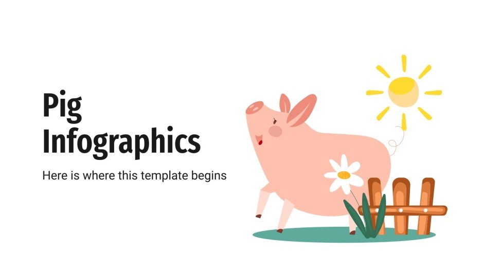 Pig Infographics | Google Slides & PowerPoint