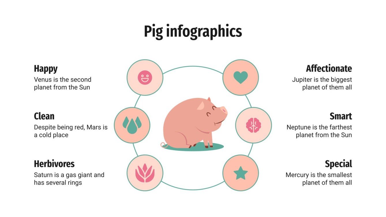 Pig Infographics | Google Slides & PowerPoint