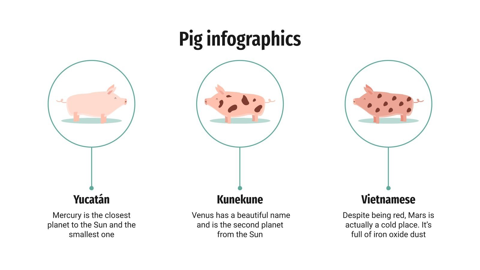 Pig Infographics | Google Slides & PowerPoint