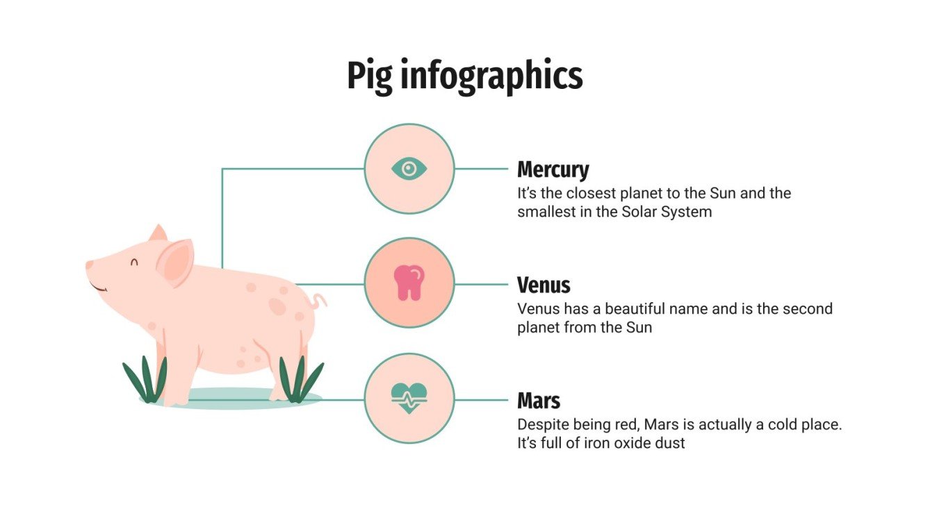 Pig Infographics | Google Slides & PowerPoint