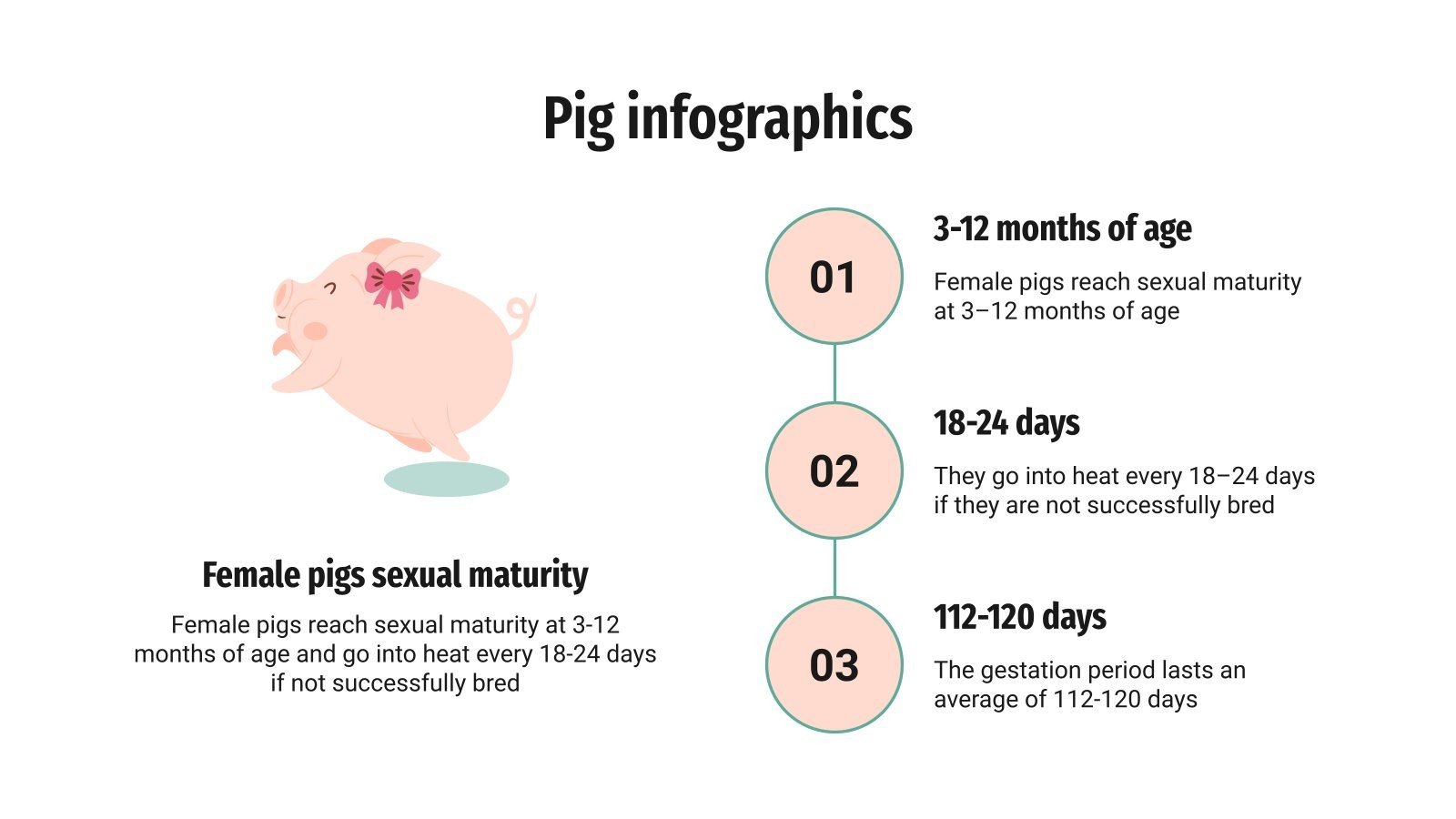 Pig Infographics | Google Slides & PowerPoint