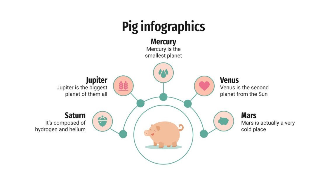 Pig Infographics | Google Slides & PowerPoint