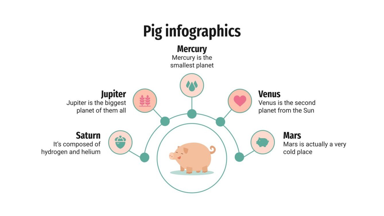 Pig Infographics | Google Slides & PowerPoint