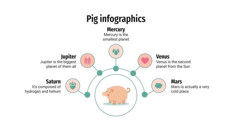 Pig Infographics | Google Slides & PowerPoint