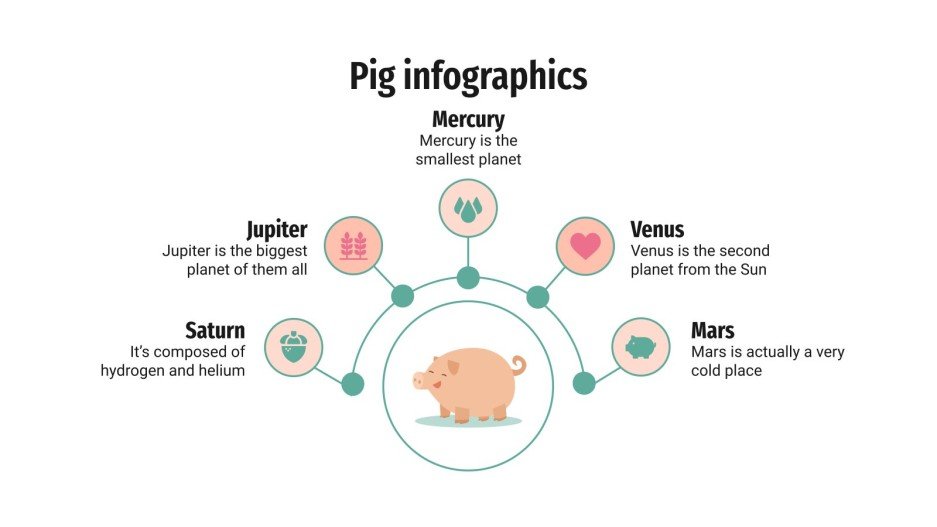 Pig Infographics | Google Slides & PowerPoint