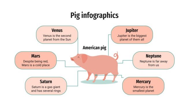 Pig Infographics | Google Slides & PowerPoint