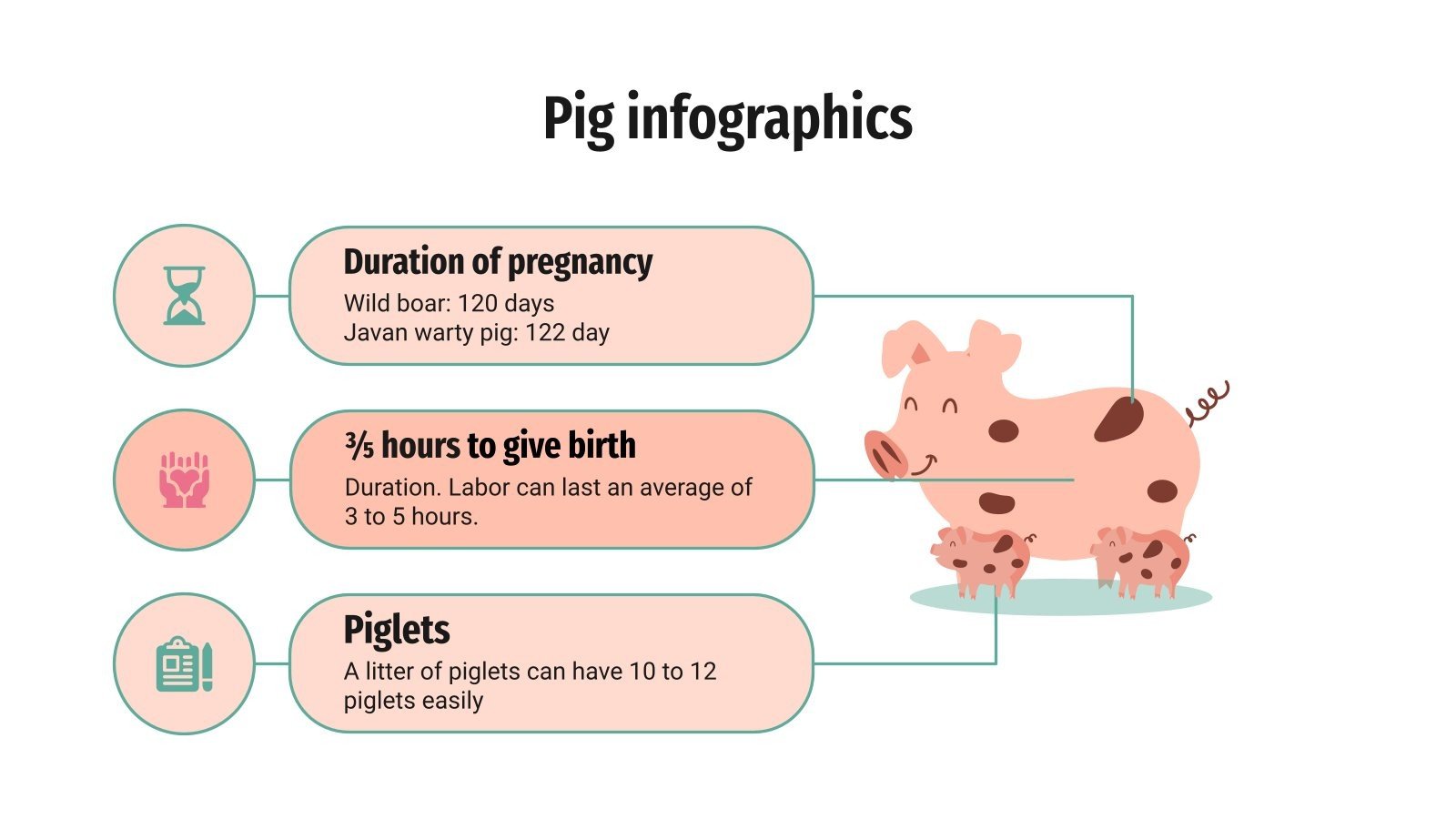 Pig Infographics | Google Slides & PowerPoint