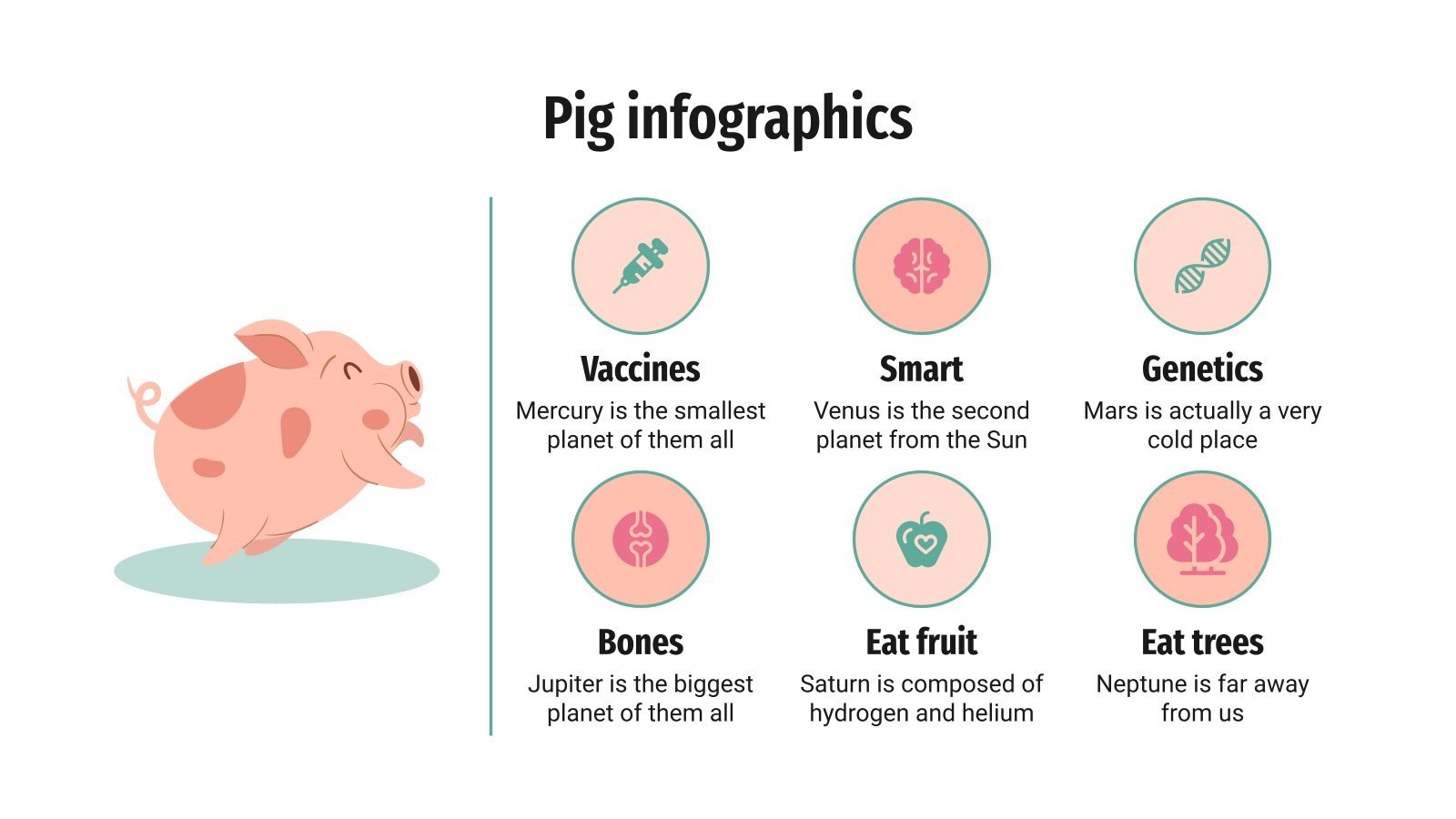 Infografías sobre los cerdos | Google Slides y PowerPoint