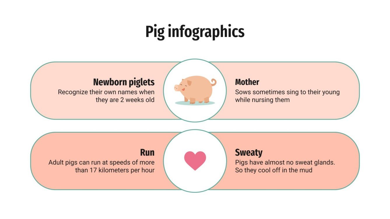 Pig Infographics | Google Slides & PowerPoint