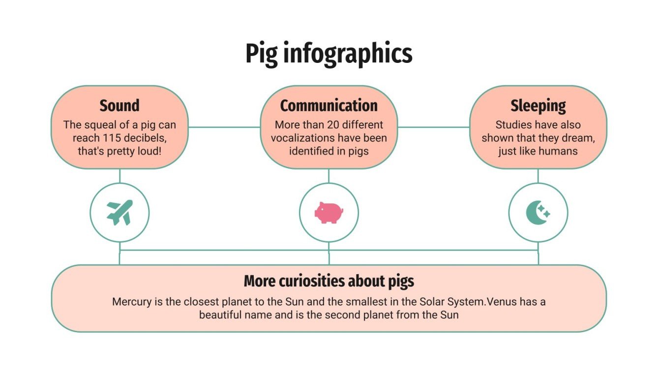 Pig Infographics | Google Slides & PowerPoint