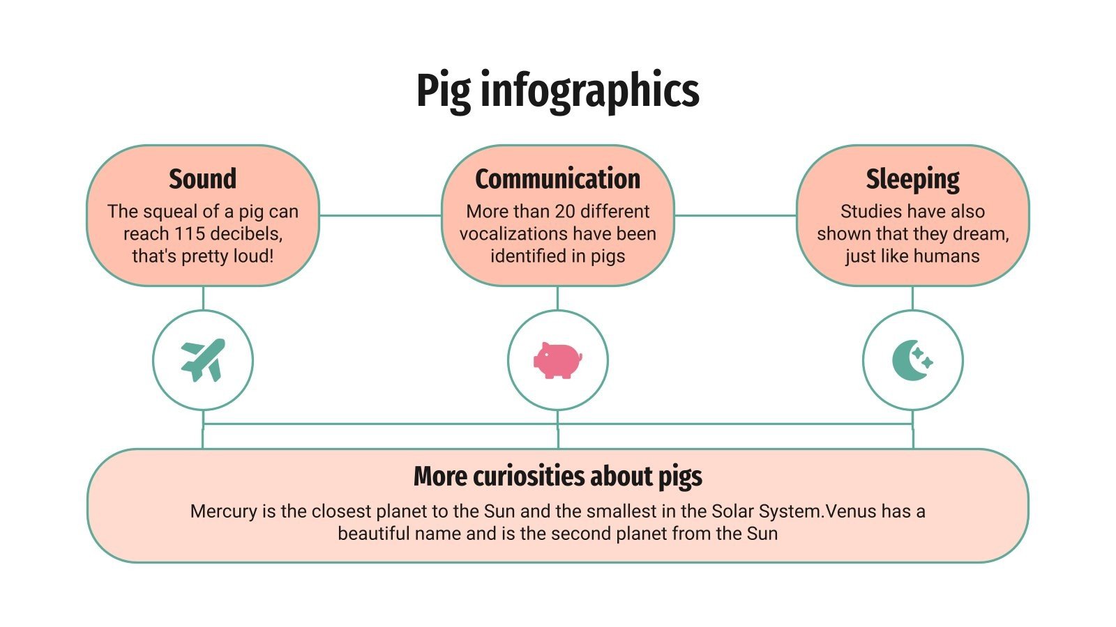 Pig Infographics | Google Slides & PowerPoint