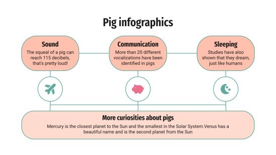 Pig Infographics | Google Slides & PowerPoint