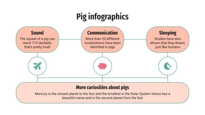 Pig Infographics | Google Slides & PowerPoint