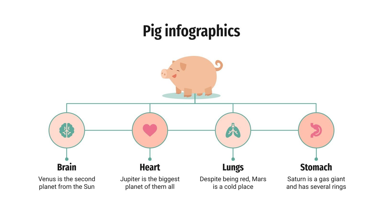 돼지 인포그래픽 | Google Slides & PowerPoint