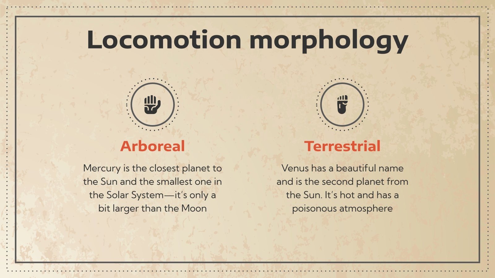 Science for High School: Human Evolution | Google Slides