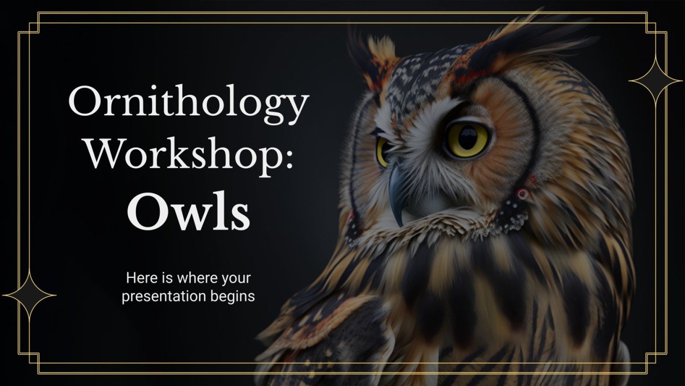 Ornithology Workshop: Owls