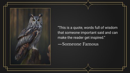 Ornithology Workshop: Owls