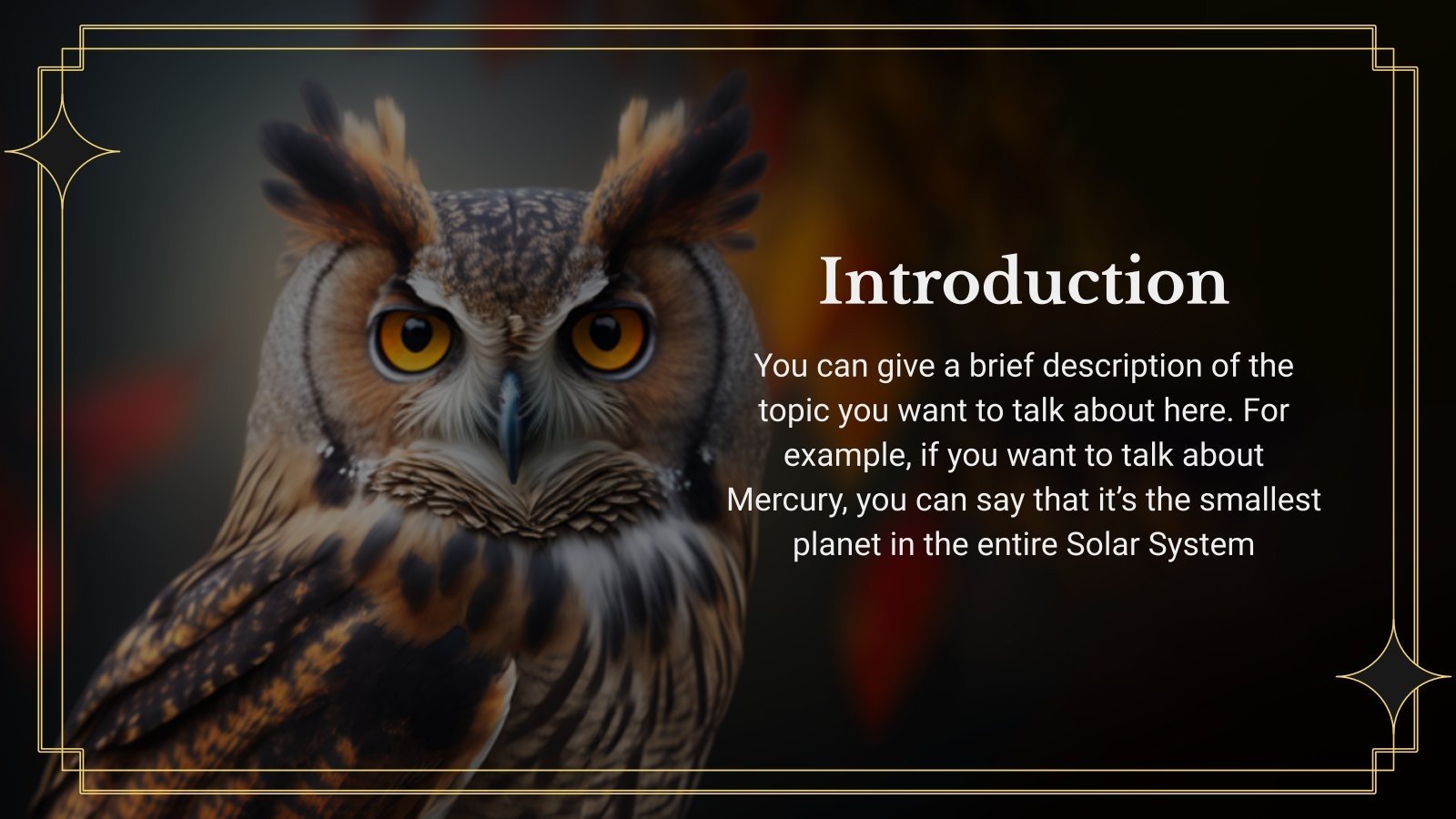 Ornithology Workshop: Owls