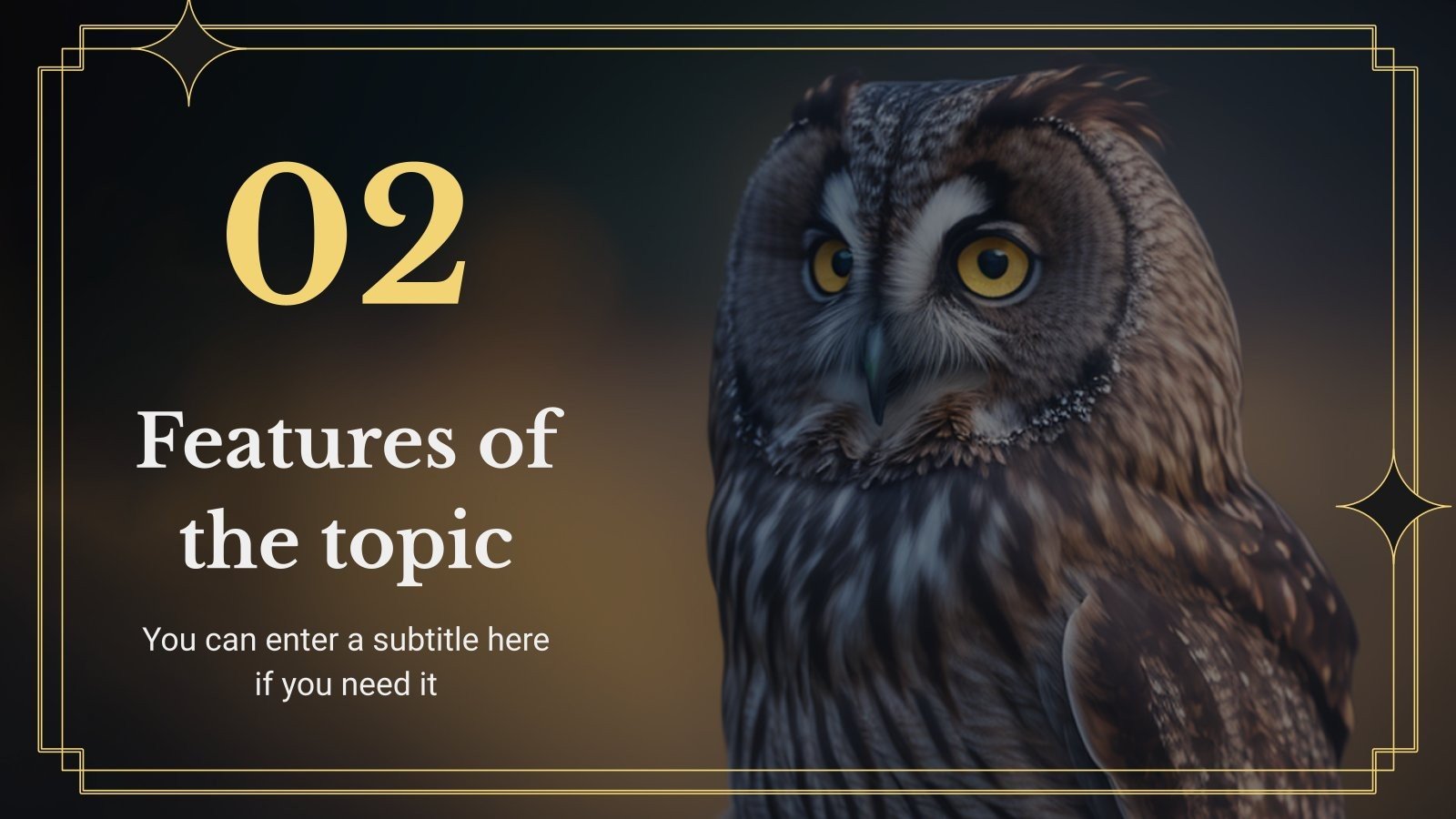 Ornithology Workshop: Owls