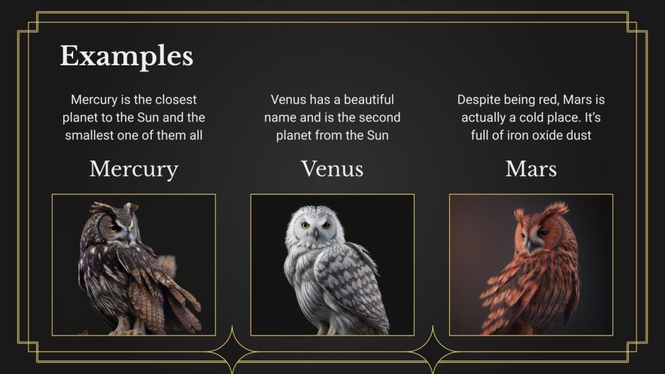 Ornithology Workshop: Owls