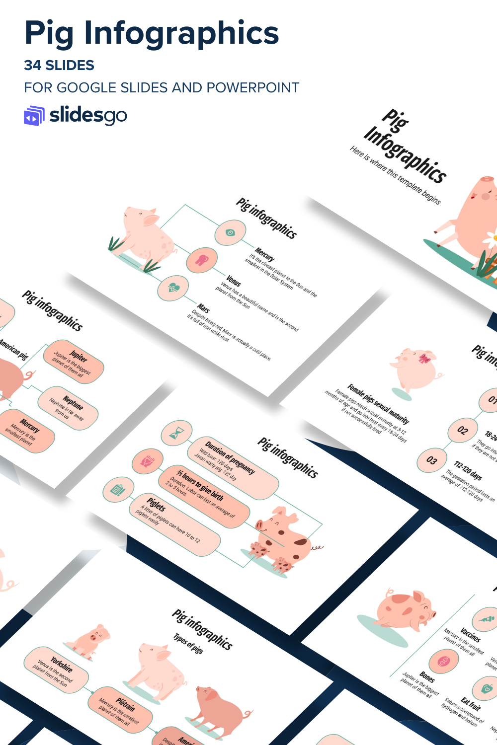 Pig Infographics | Google Slides & PowerPoint
