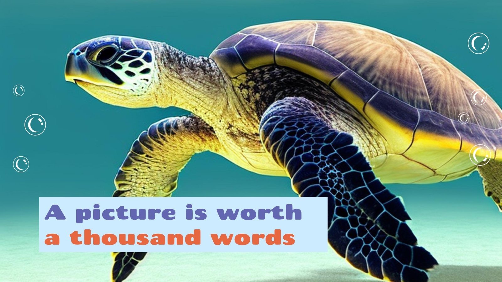 Happy World Turtle Day | Google Slides & PPT