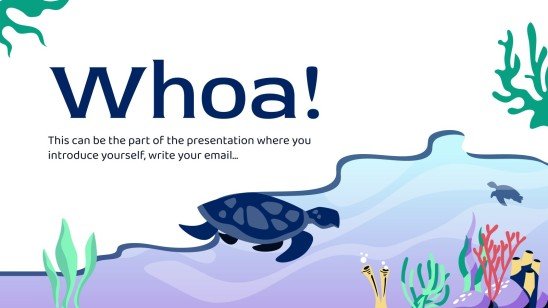 Let's Celebrate Turtle Day! | Google Slides & PowerPoint