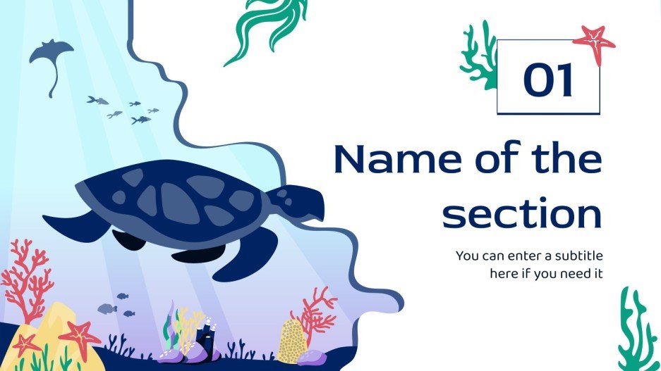 Let's Celebrate Turtle Day! | Google Slides & PowerPoint