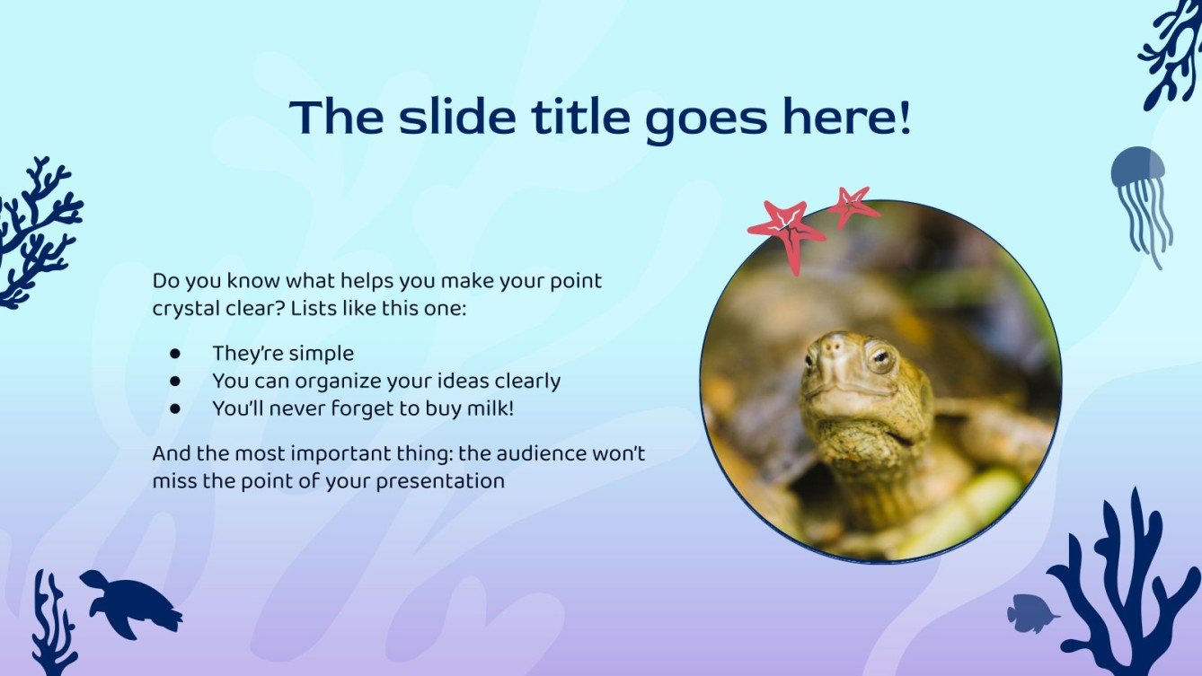 Let's Celebrate Turtle Day! | Google Slides & PowerPoint