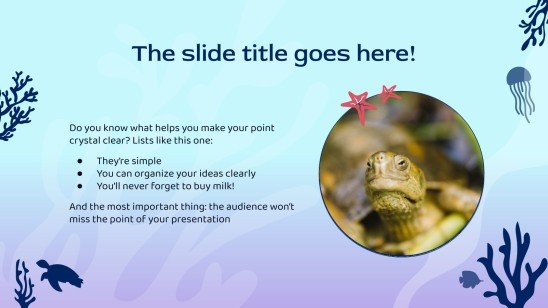 Let's Celebrate Turtle Day! | Google Slides & PowerPoint