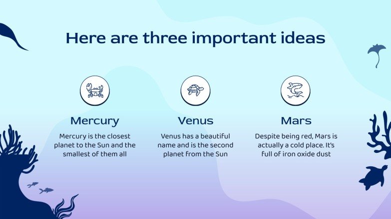 Let's Celebrate Turtle Day! | Google Slides & PowerPoint