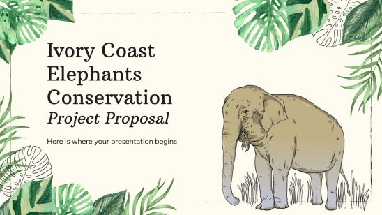Ivory Coast Elephants Conservation Project Proposal