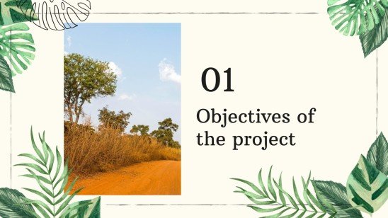 Ivory Coast Elephants Conservation Project Proposal