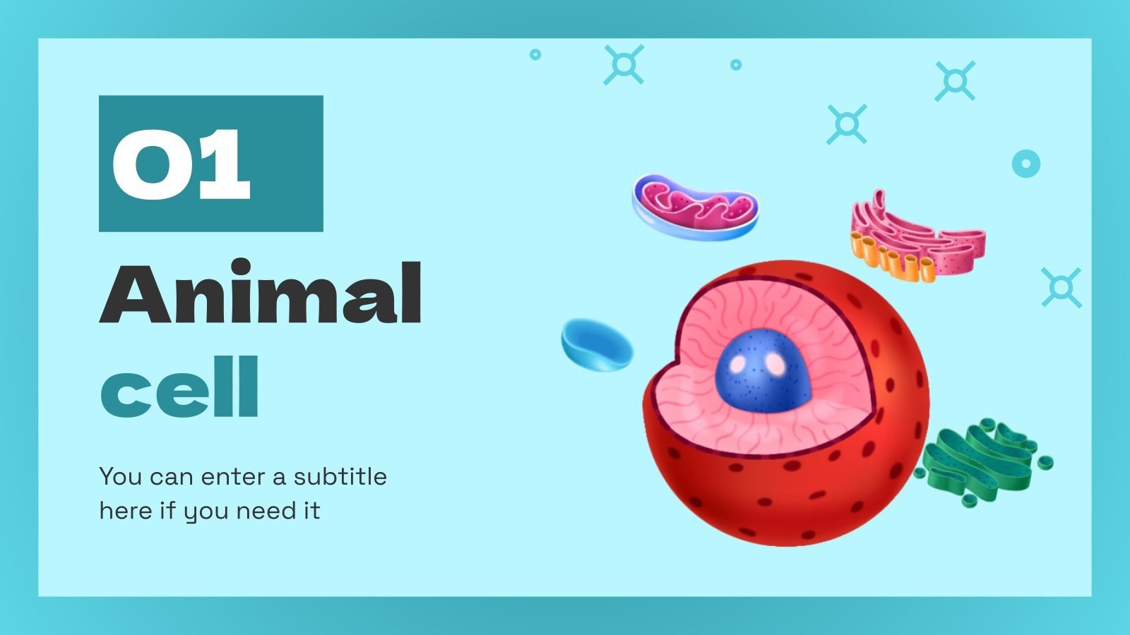 Biology Subject for High School: Animal Cell | Google Slides