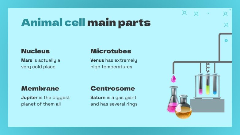 Biology Subject for High School: Animal Cell | Google Slides