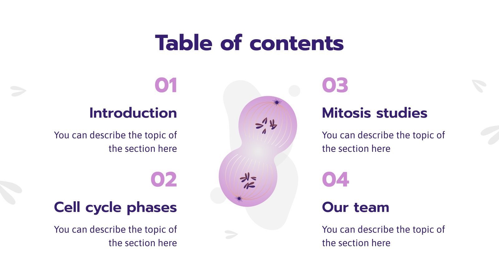 Biology Subject for Middle School: Cell Cycle and Mitosis