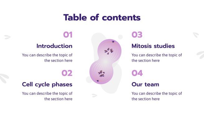Biology Subject for Middle School: Cell Cycle and Mitosis
