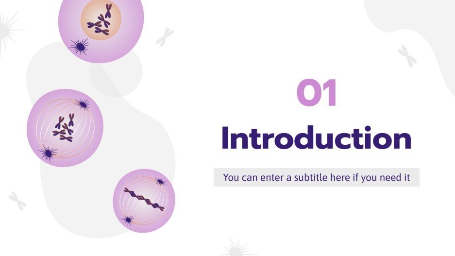 Biology Subject for Middle School: Cell Cycle and Mitosis