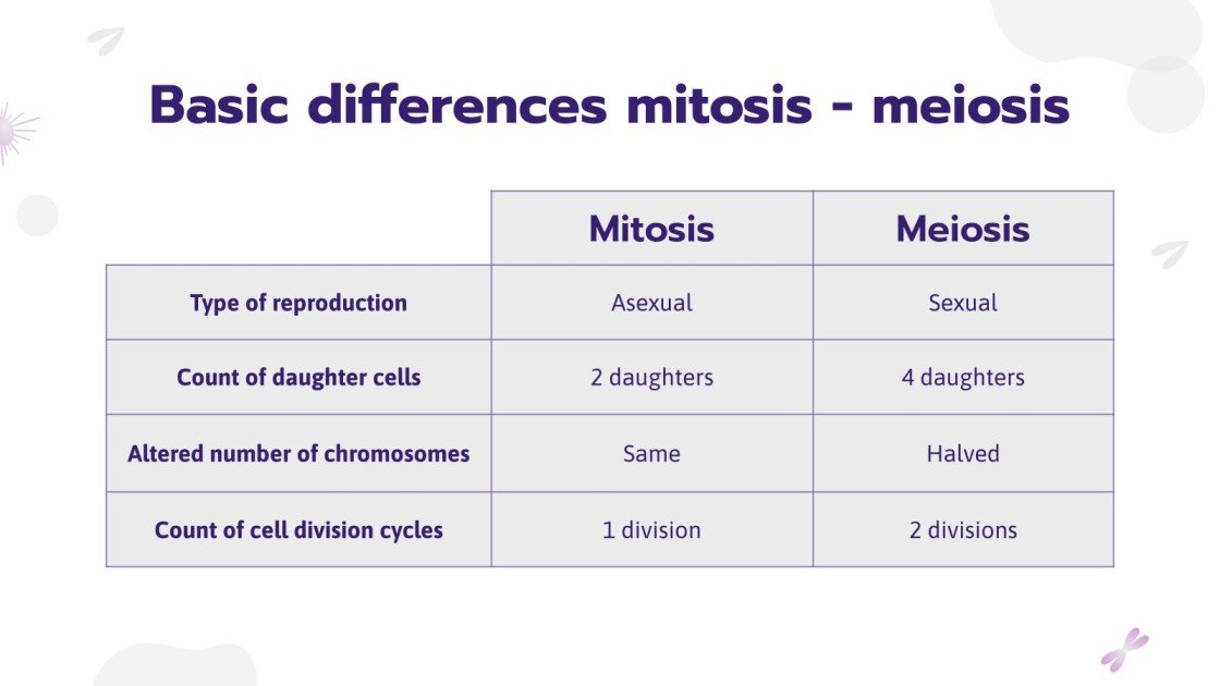 Biology Subject for Middle School: Cell Cycle and Mitosis