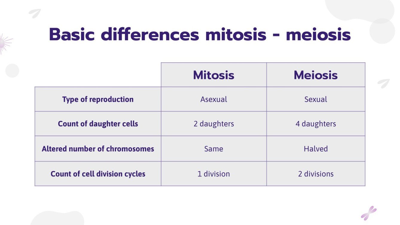 Biology Subject for Middle School: Cell Cycle and Mitosis