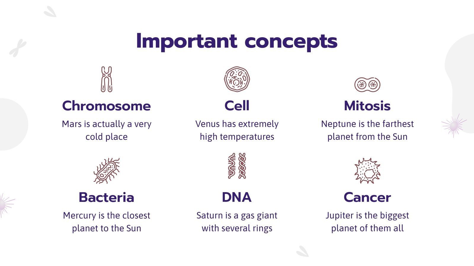 Biology Subject for Middle School: Cell Cycle and Mitosis