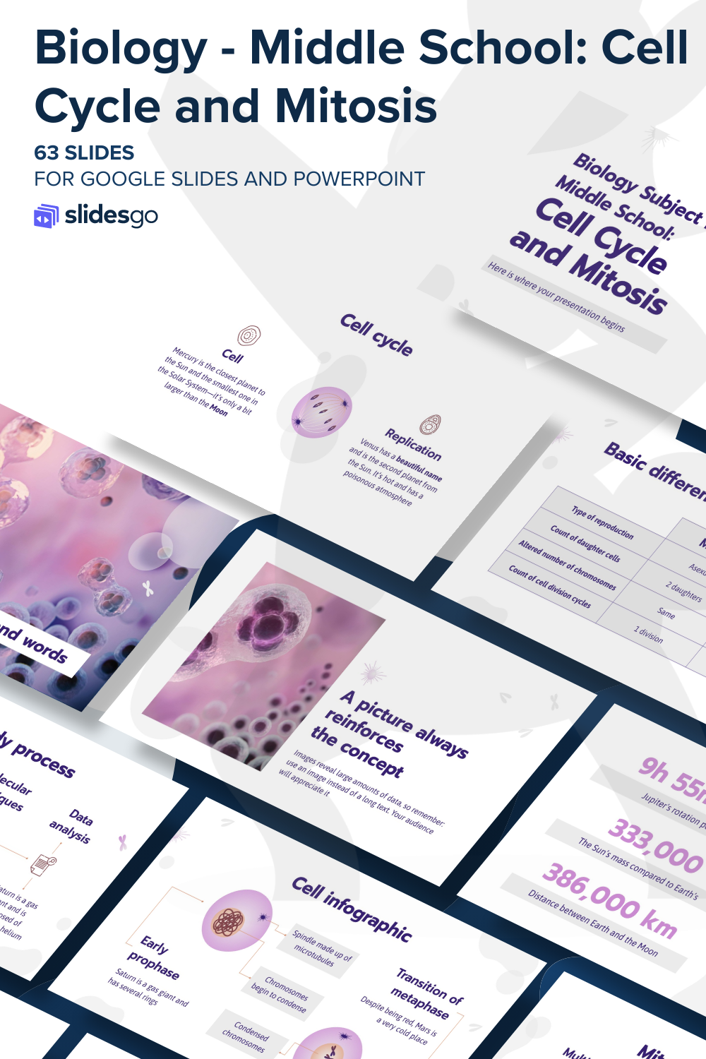 Biology Subject for Middle School: Cell Cycle and Mitosis