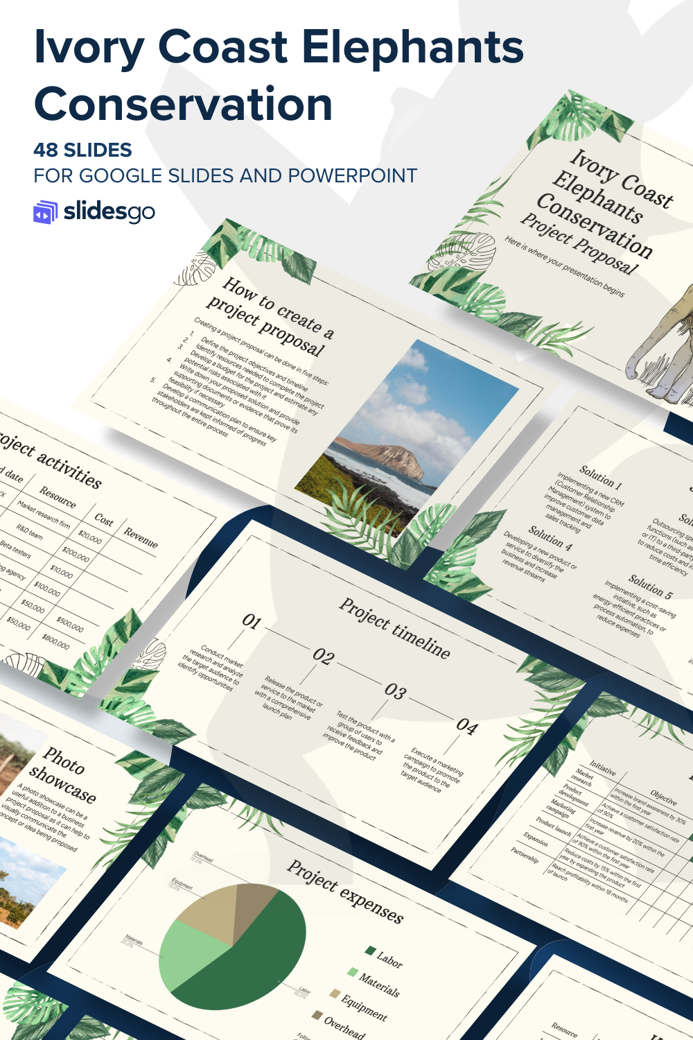 Ivory Coast Elephants Conservation Project Proposal