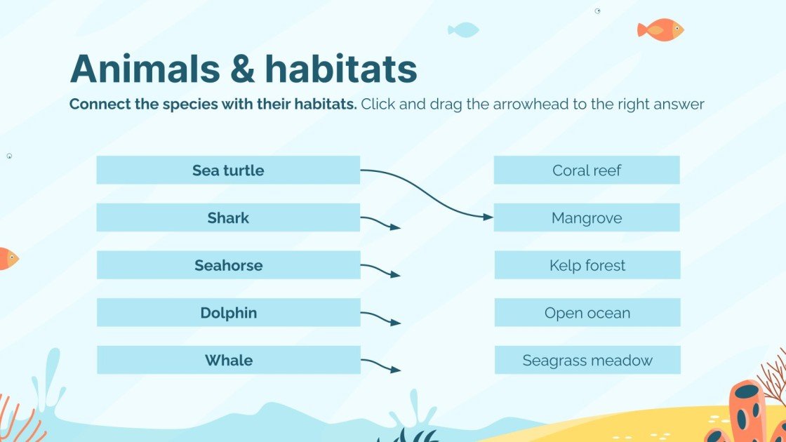 Sea Life Lesson for Middle School | Google Slides & PPT