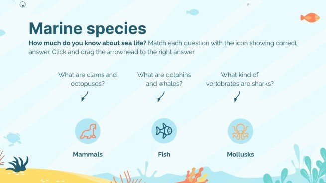 Sea Life Lesson for Middle School | Google Slides & PPT