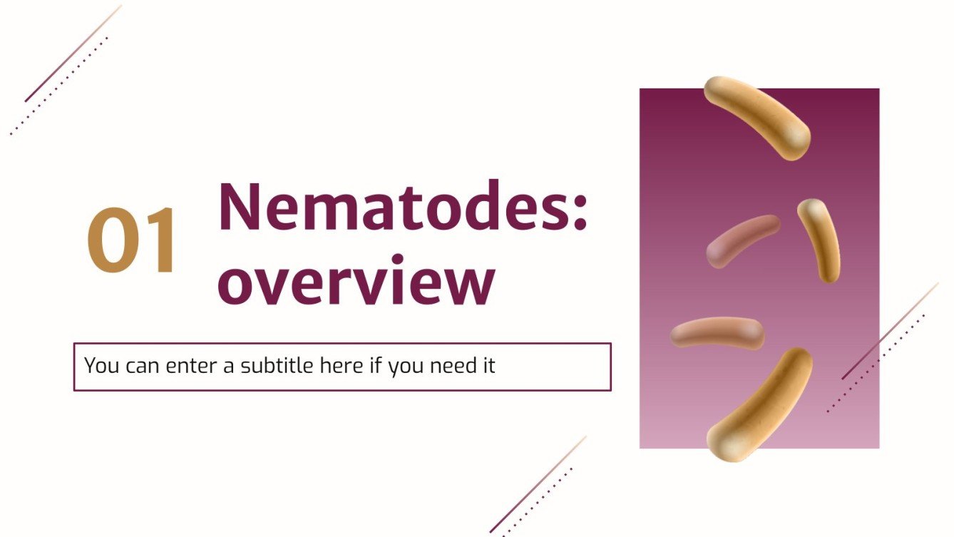 All About Nematodes | Google Slides & PowerPoint
