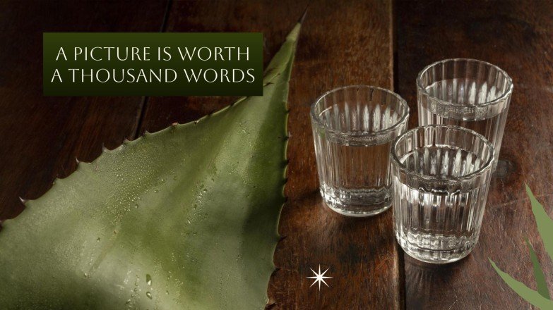 All About Agave Plant | Google Slides & PowerPoint