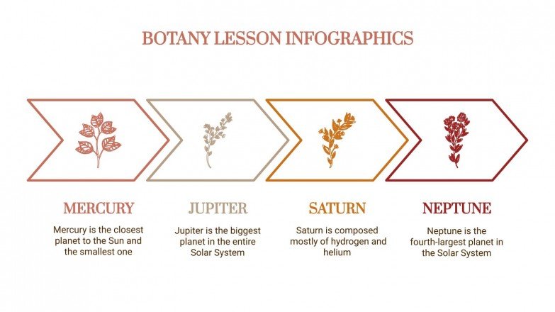 Botany Lesson Infographics | Google Slides and PowerPoint
